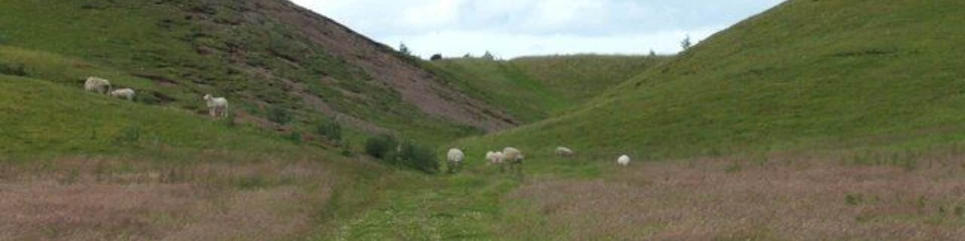 North West from Milton of Panholes Miniature valley just off the minor road. The hillock on left is a skyscraper accommodation for rabbits. The track you can just about make out, continues north into NN8910