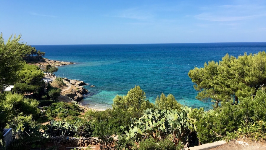 Paisagem costeira com mar azul cristalino, costa rochosa e vegetação densa.