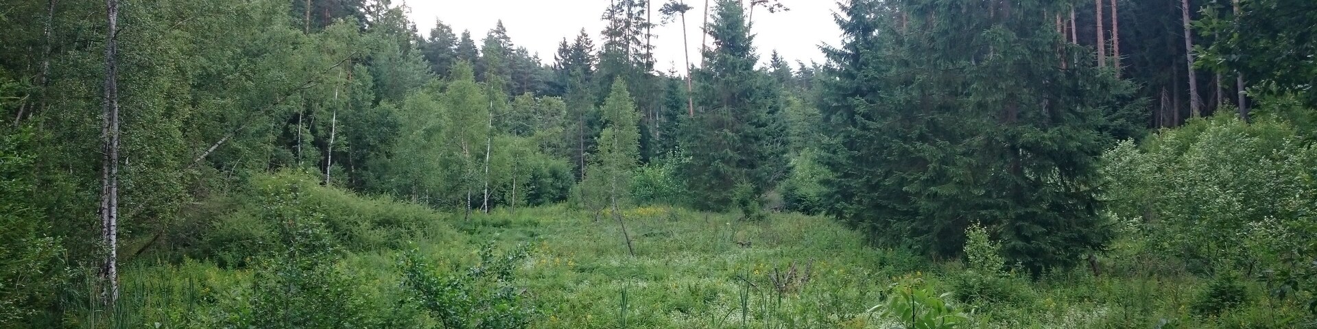 im Naturschutzgebiet "Naturschutzgebiet Pennewitzer Teiche - Unteres Wohlrosetal"