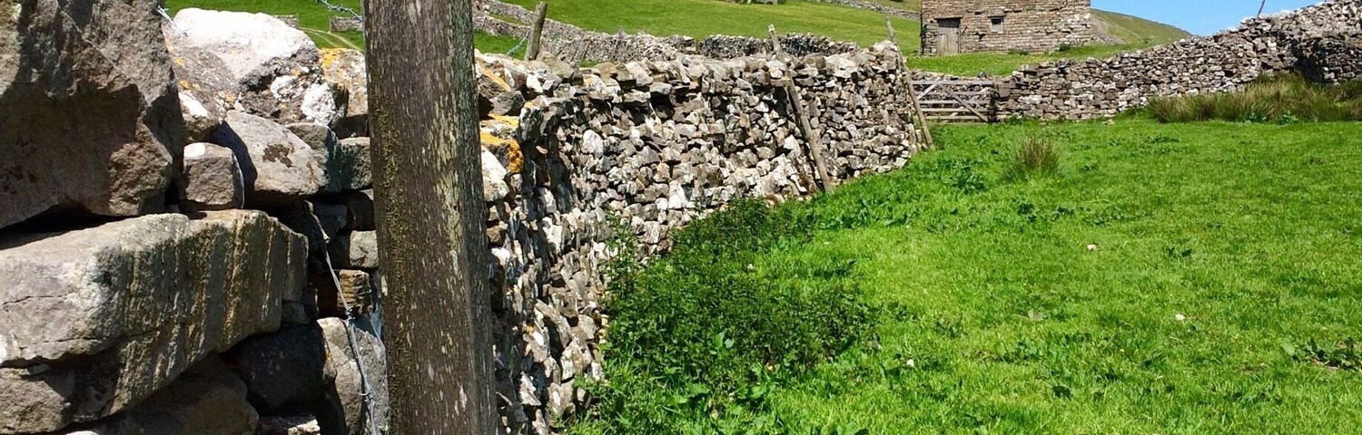 Um muro de pedra com um sinalizador de madeira escrito "BW MUKER" apontando para a direita.