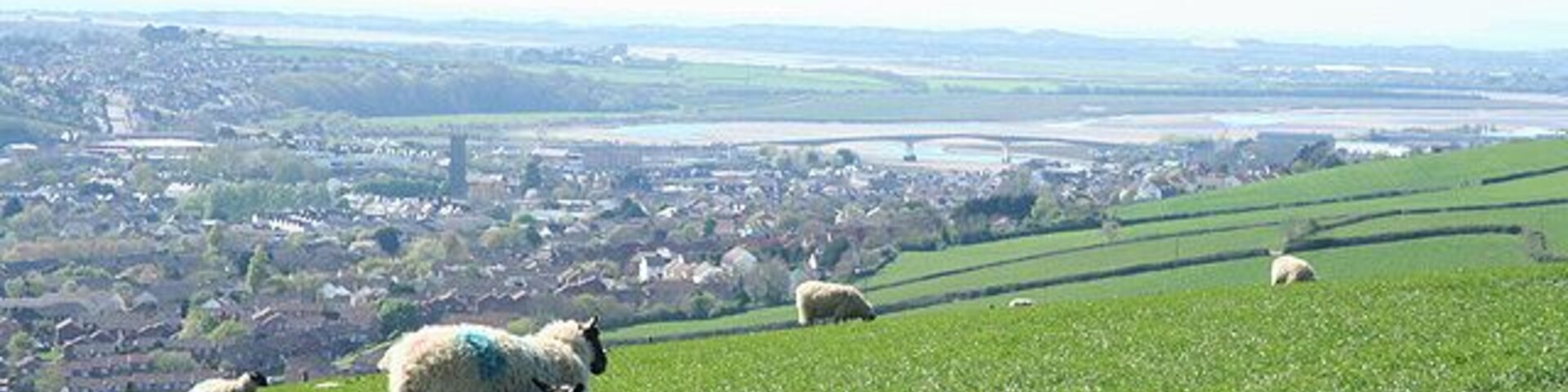 Landkey: towards Barnstaple Seen from what was the public footpath from Acland Barton to Westacott - since rerouted, it appears. Looking west. In the distance is a new bridge over the river Taw that will carry the Barnstaple western bypass, under construction in April 2007