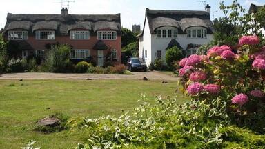 Uma fileira de casas com telhados de palha, um gramado e flores cor-de-rosa ao primeiro plano.