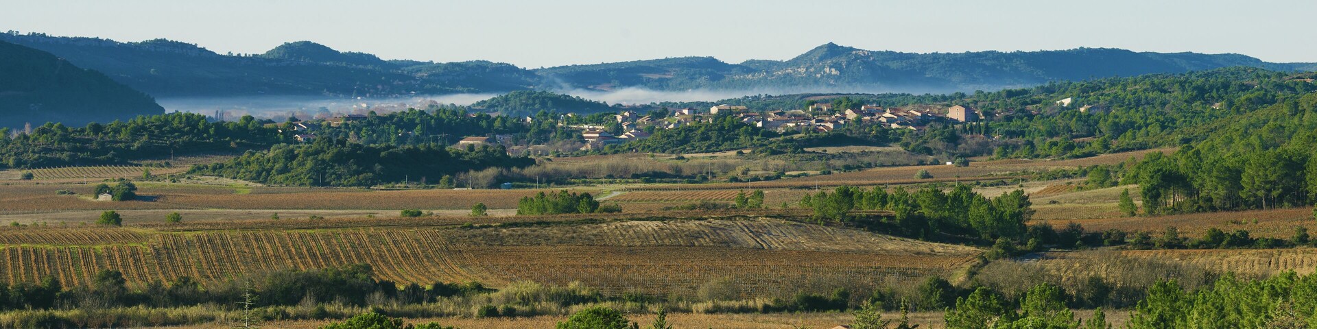 The village and the Southeastern part of the communal area seen from Northeast. Prades-sur-Vernazobre, Hérault, France. These vines are among those which produce the French wine Saint-Chinian.