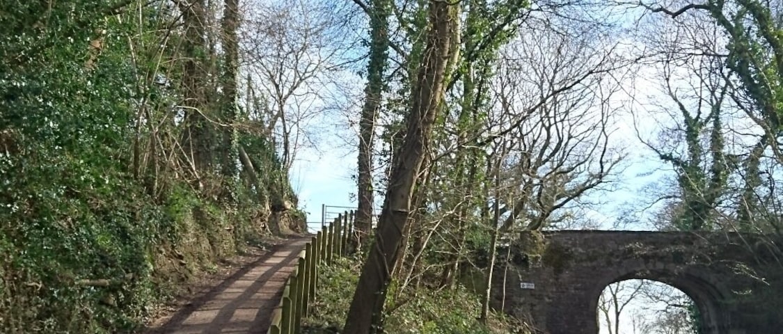 Perfect day for a cycle on the canal bank, I need to do this more often it's so rewarding