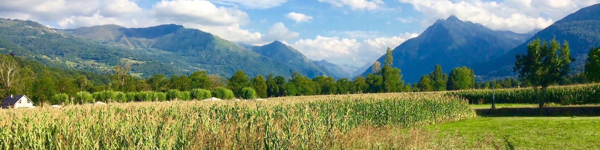 Looking up the valley