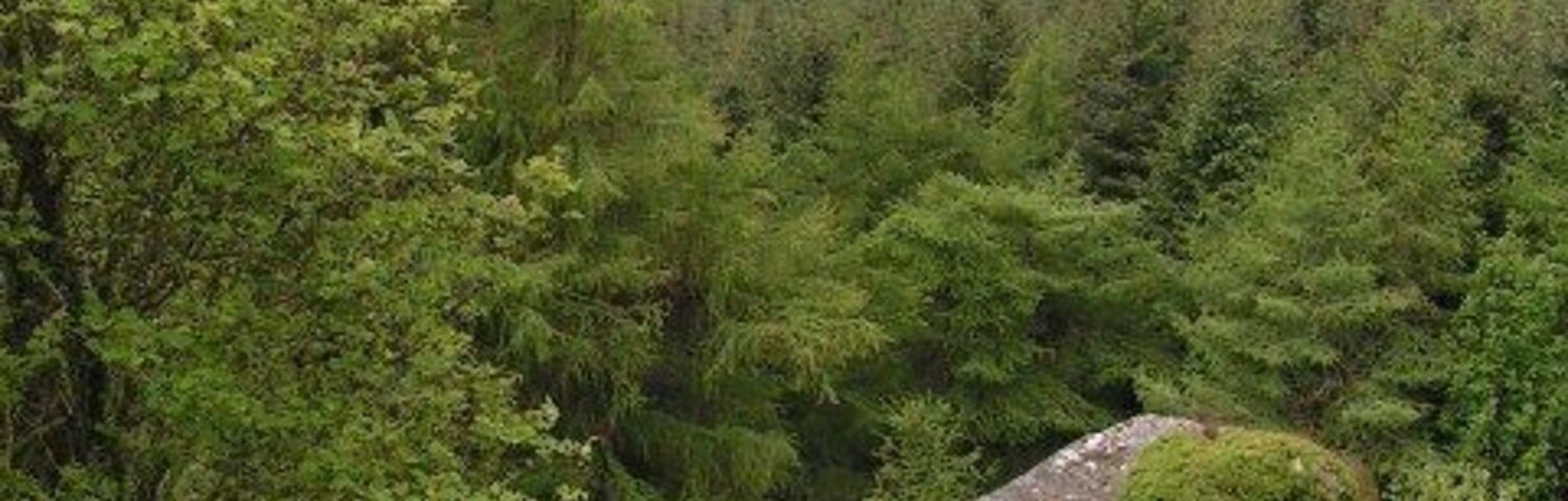 Um caminhante em área arborizada, com uma rocha grande e árvores densas.