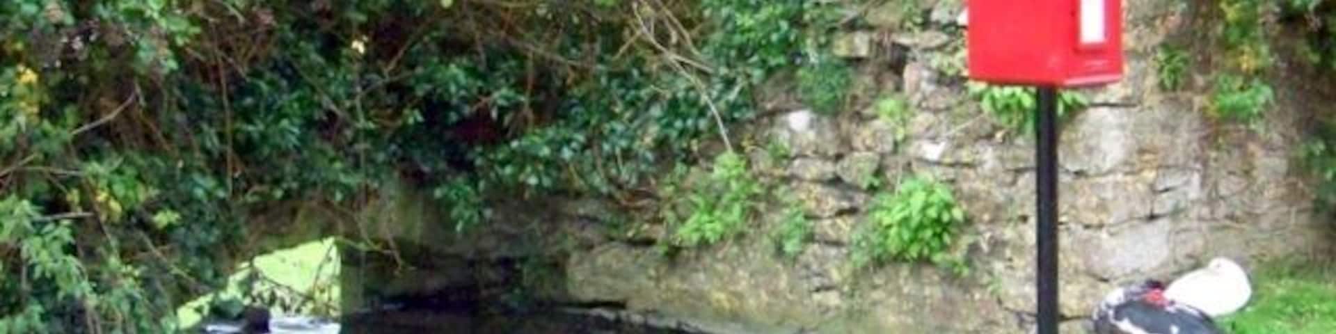 Postbox, Dinder The ducks wait patiently by the postbox, I wonder if they get fed when people come to post their letters.