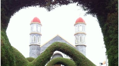 Um edifício com duas torres e um arbusto em forma de coração ao primeiro plano.