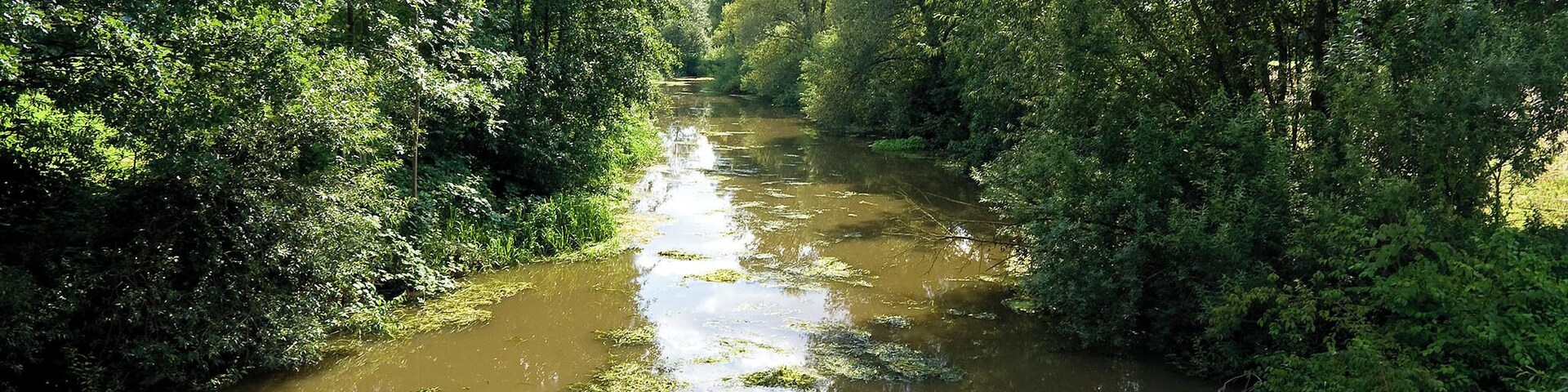 Alte Jeetzel River near Langenhorst in the district Luechow-Dannenberg in Lower Saxony, Germany.