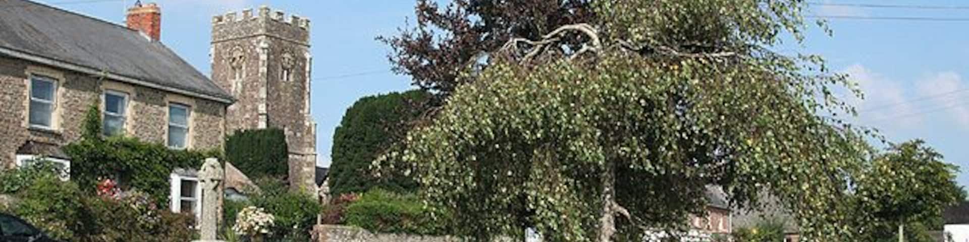 Coldridge: village green. The church is dedicated to St Matthew, but between 1742 and the late 19th century it was St Marys. Out of shot, on the south side of the green are The Old Post Office and The Old Bakery indicating that the village was a little more self-sufficient in earlier times. Looking east-north-east