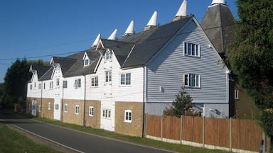 Fileira de casas brancas com telhados e chaminés cinzentas.