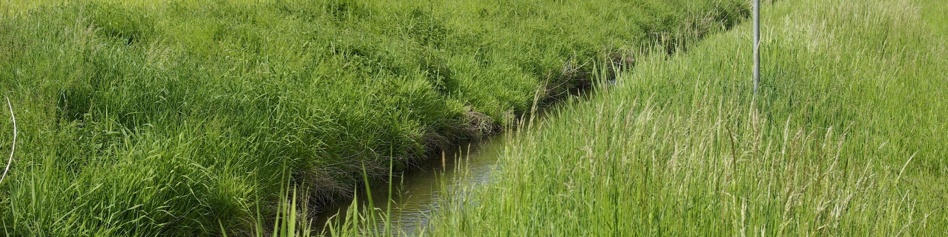 Die in diesem Bereich begradigte Seebach westlich der Schleuse Erlangen in der Gemeinde Möhrendorf.