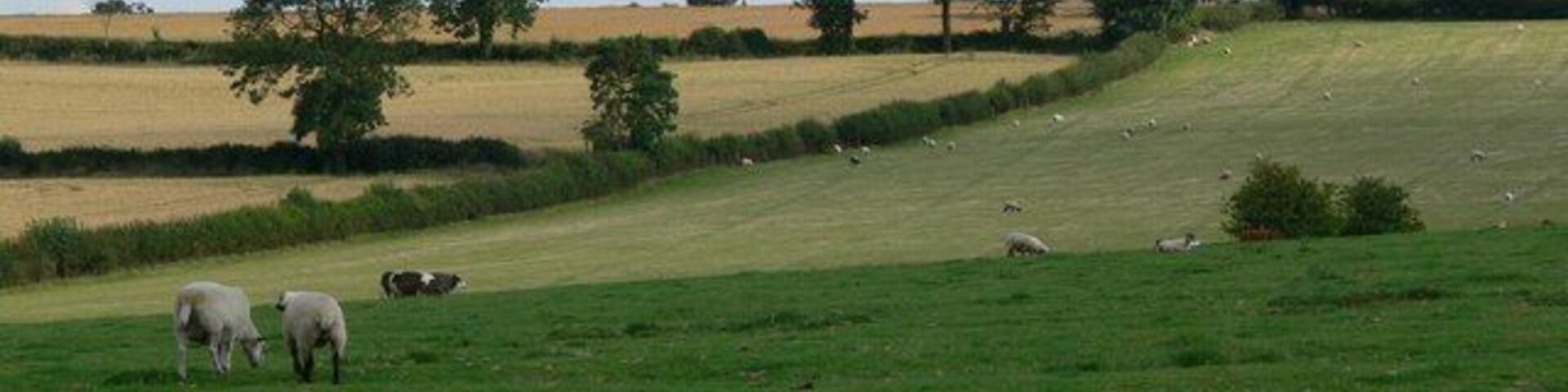 Farmland off Croxton Road