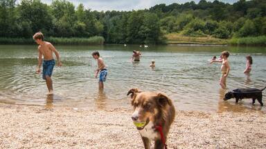Um lago com pessoas e um cão na margem.