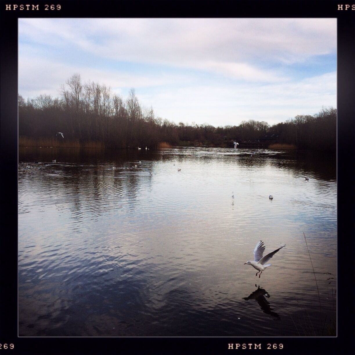 Ex quarry turned lake #nature #leisure
