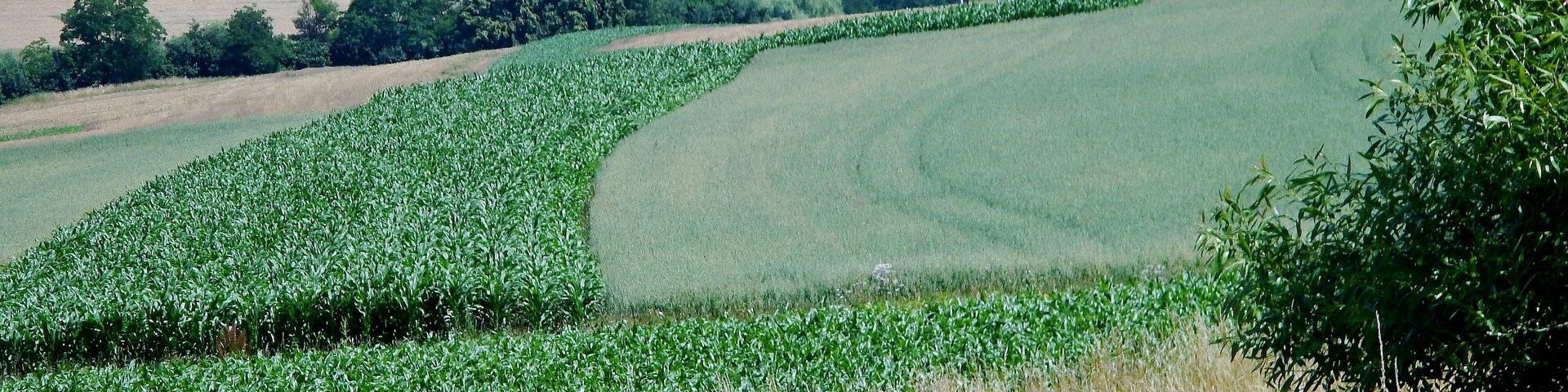 Landschaft bei Keltern, 220-kV-Freileitung