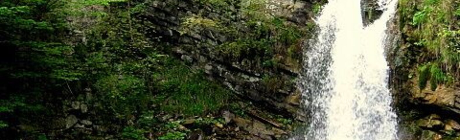 Uma cascata deságua num rio, cercado por vegetação exuberante.