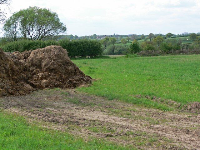 Paisagem rural com uma grande pilha de feno em primeiro plano e um campo verde que se estende até o horizonte.