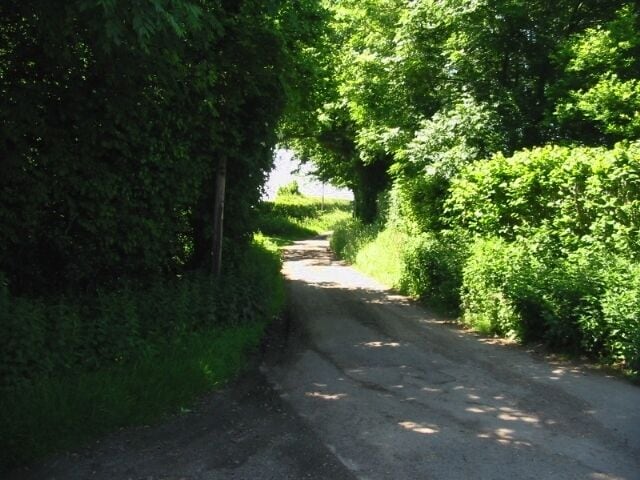 Uma estrada estreita, cercada por árvores no campo.