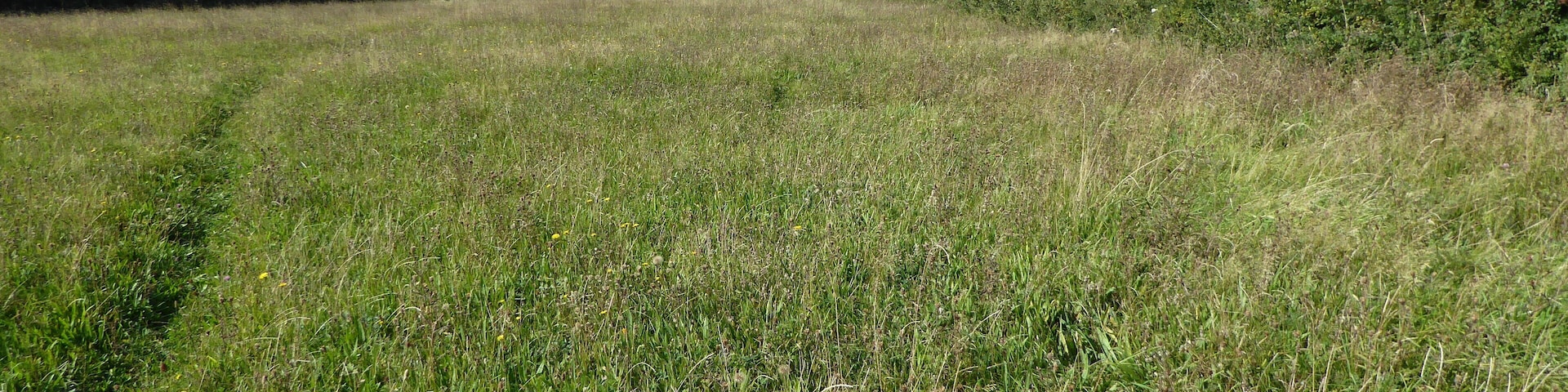Muston Meadows is a Site of Special Scientific Interest and National Nature Reserve south of Muston in Leicestershire.