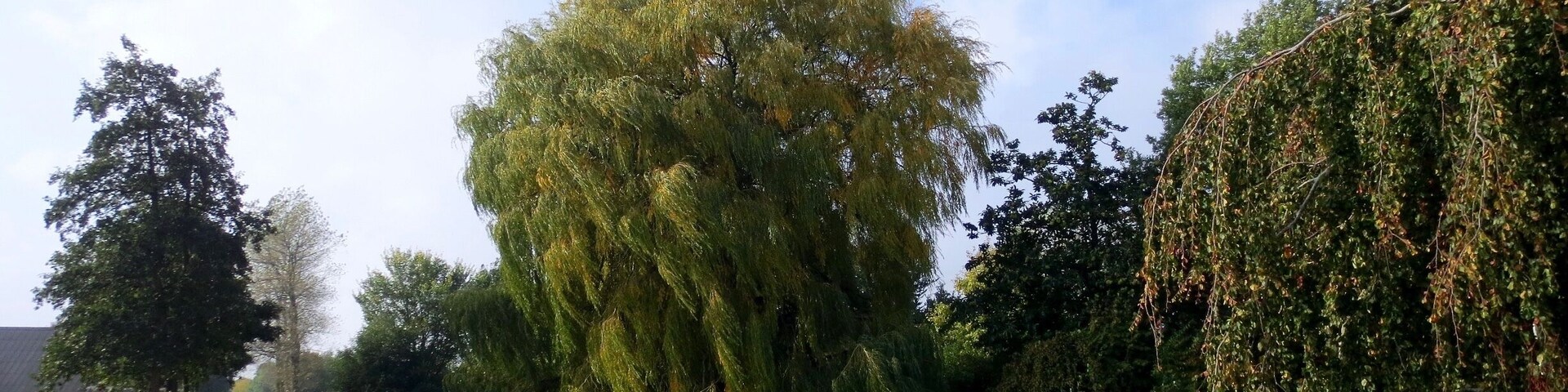 Hefswalsterweg, Herfst