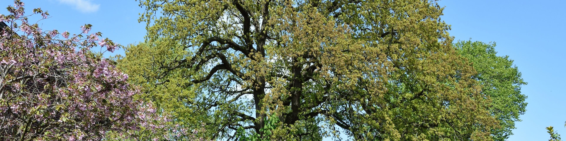 This image was uploaded as part of Wiki Loves Earth 2015.