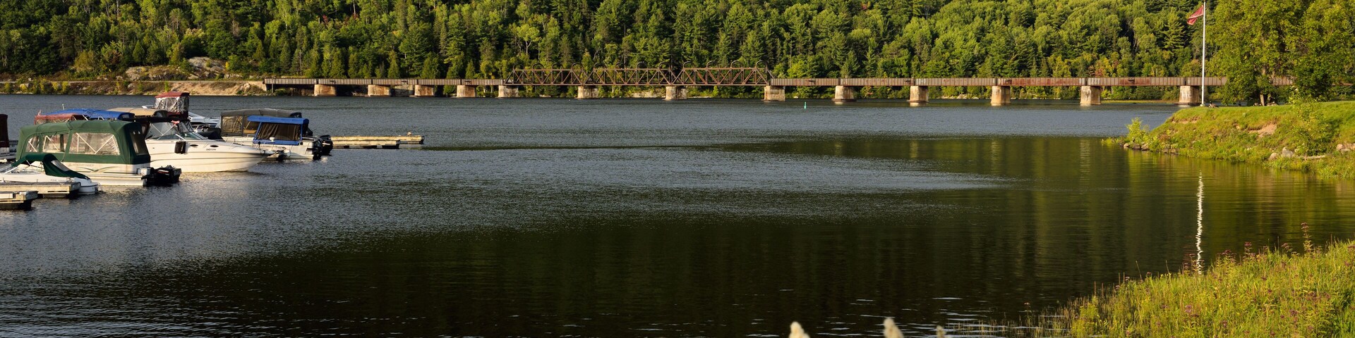 Um lago com barcos atracados, uma ponte e uma colina arborizada ao fundo.