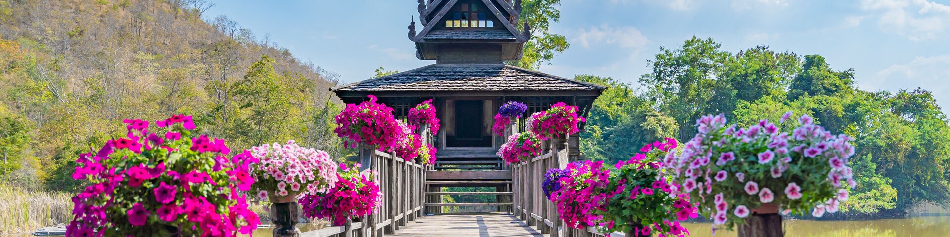 Uma ponte de madeira leva a um templo tradicional com telhado íngreme, cercado por flores rosas vibrantes e um lago tranquilo.