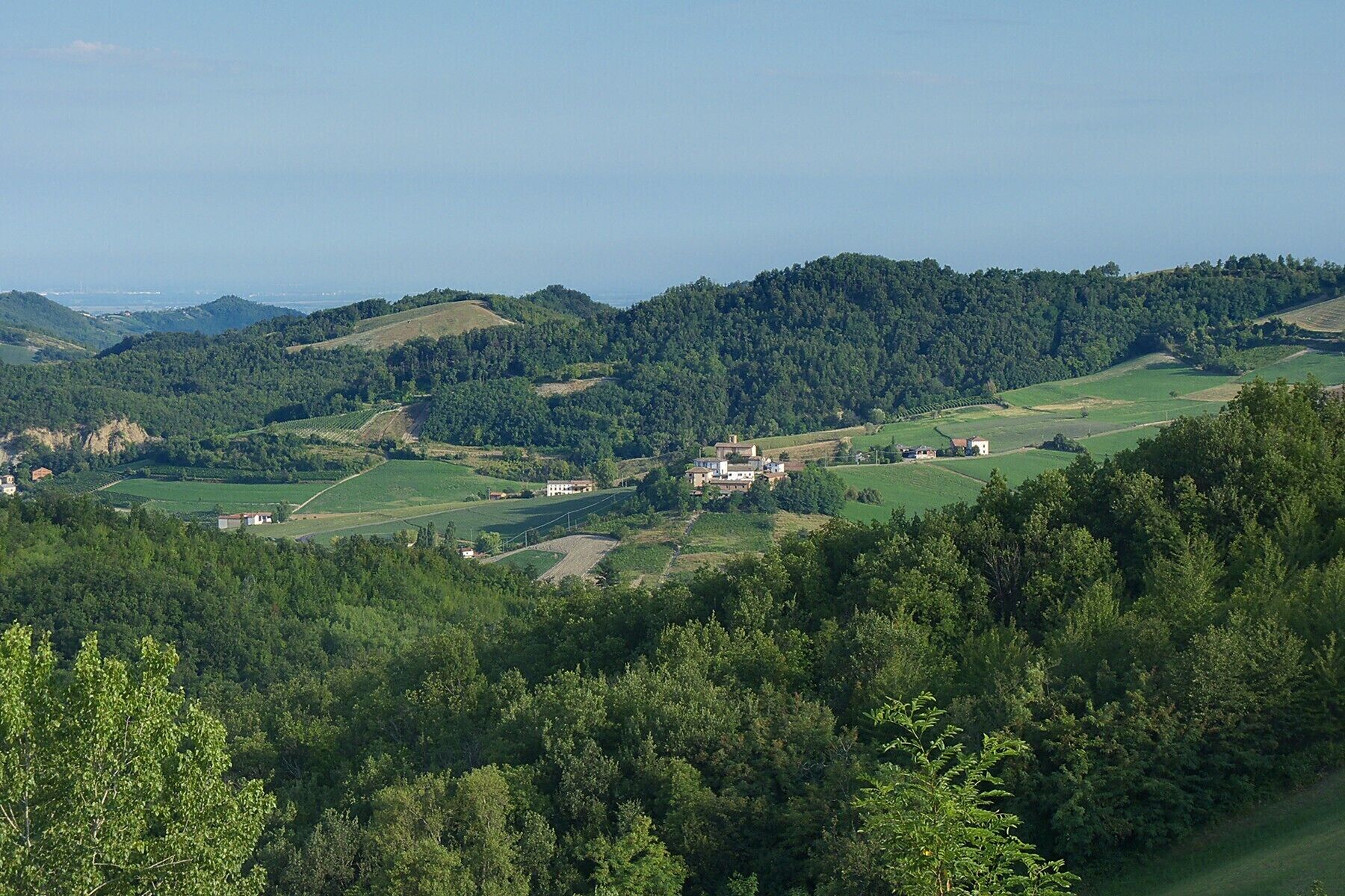 Paisagem rural com colinas onduladas, vinhedos e algumas construções espalhadas.