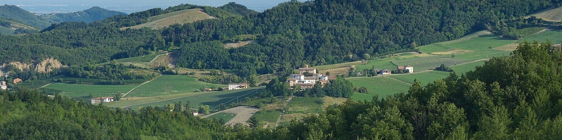 Paisagem rural com colinas onduladas, vinhedos e algumas construções espalhadas.