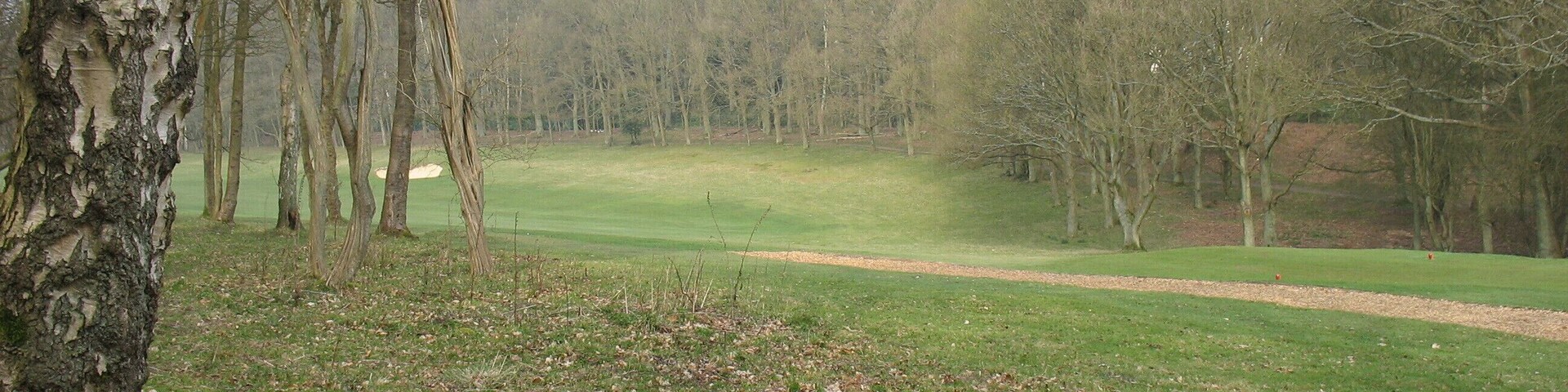 Um campo de golfe com uma área arborizada ao fundo.