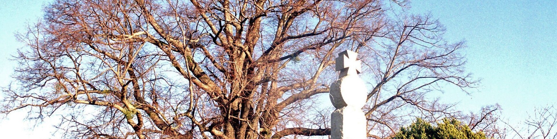 Stapelburg (Nordharz), lime and memorial on the Burgberg