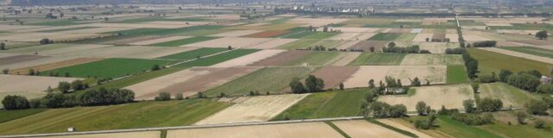 Paisagem rural com campos, uma cordilheira distante e céu claro.
