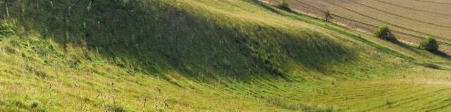 Uma encosta gramada com vista para campos agrícolas e árvores ao longe.