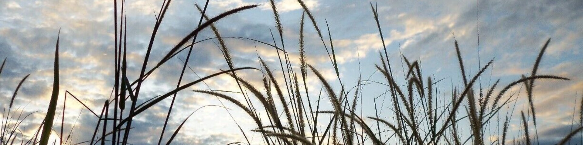 Subhanalla
Amazing
what a great view 
it is worth it to climb up the hill
to watch the sunrise