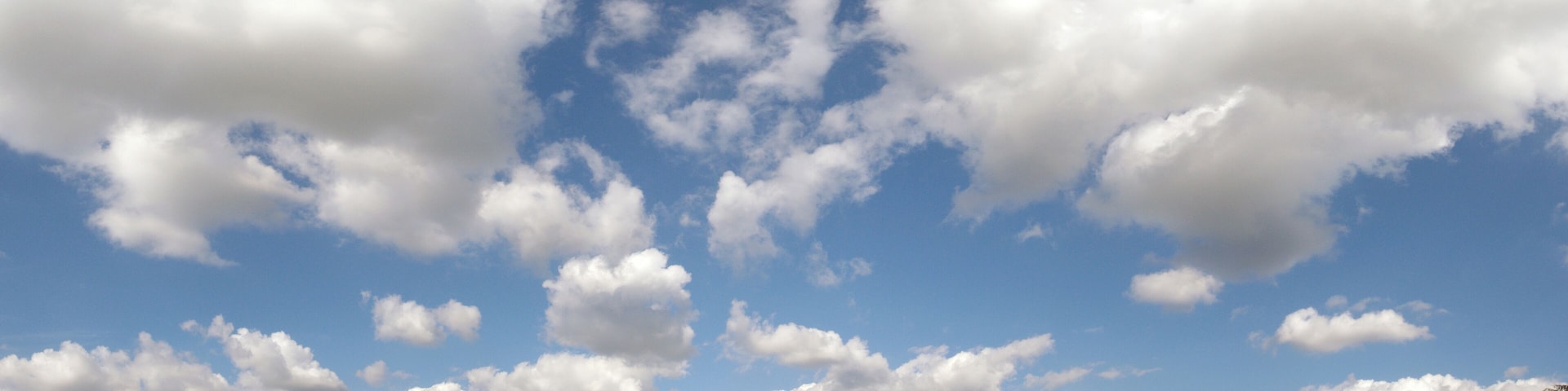 Grapevines - Scandiano (RE) Italy - September 19, 2010