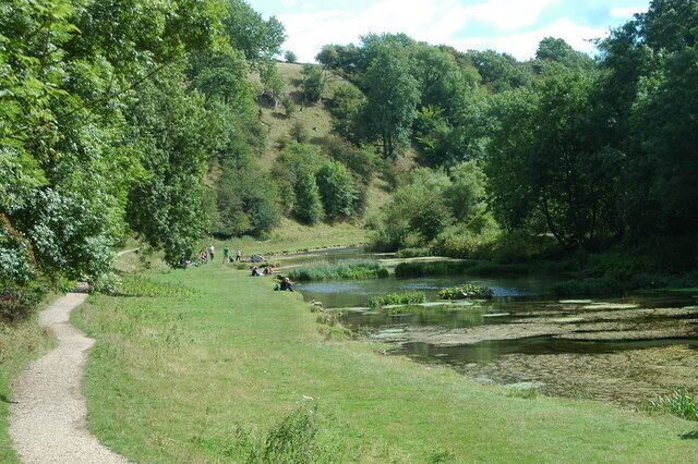Uma trilha de terra que leva a um lago rodeado por vegetação exuberante e árvores.