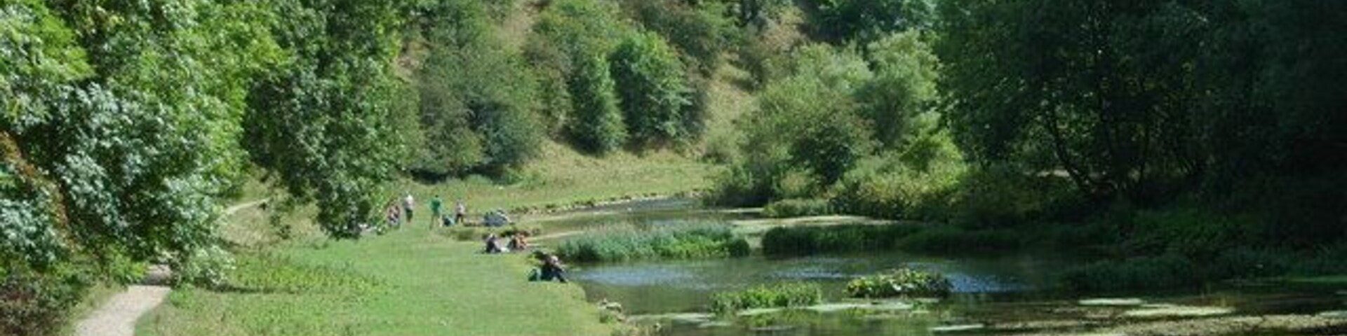 Uma trilha de terra que leva a um lago rodeado por vegetação exuberante e árvores.