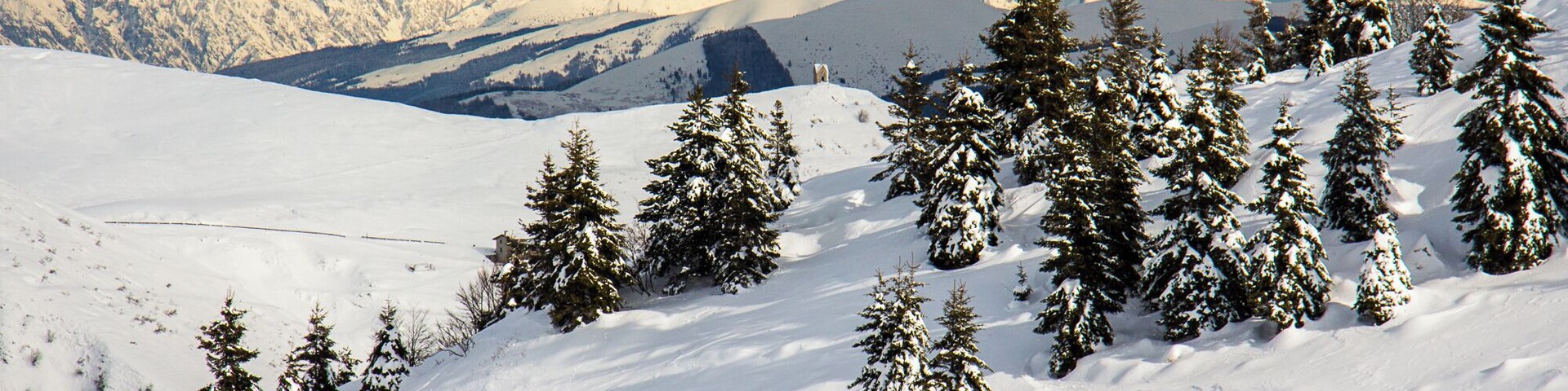 Paisagem montanhosa coberta de neve, com árvores perenes e picos distantes também cobertos de neve.