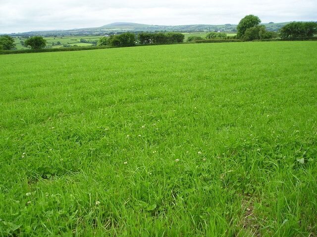 Um extenso campo verde com colinas e árvores ao longe.