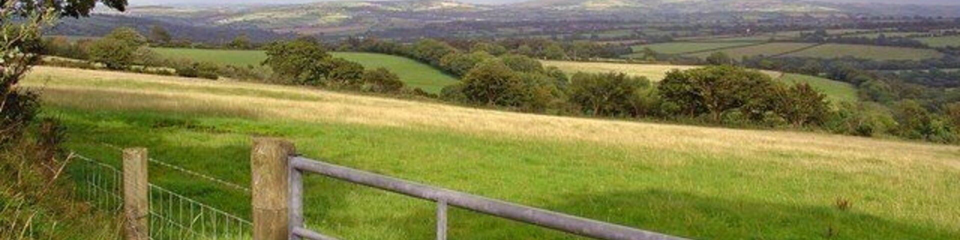Field near Pant-y-llyn, Clydau