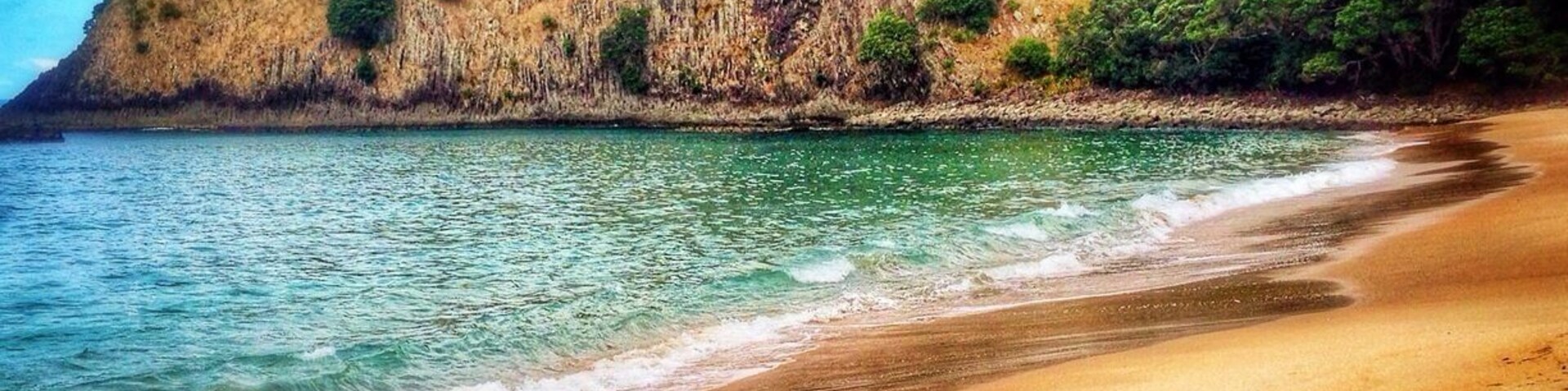 Uma praia arenosa com um penhasco rochoso e vegetação exuberante.