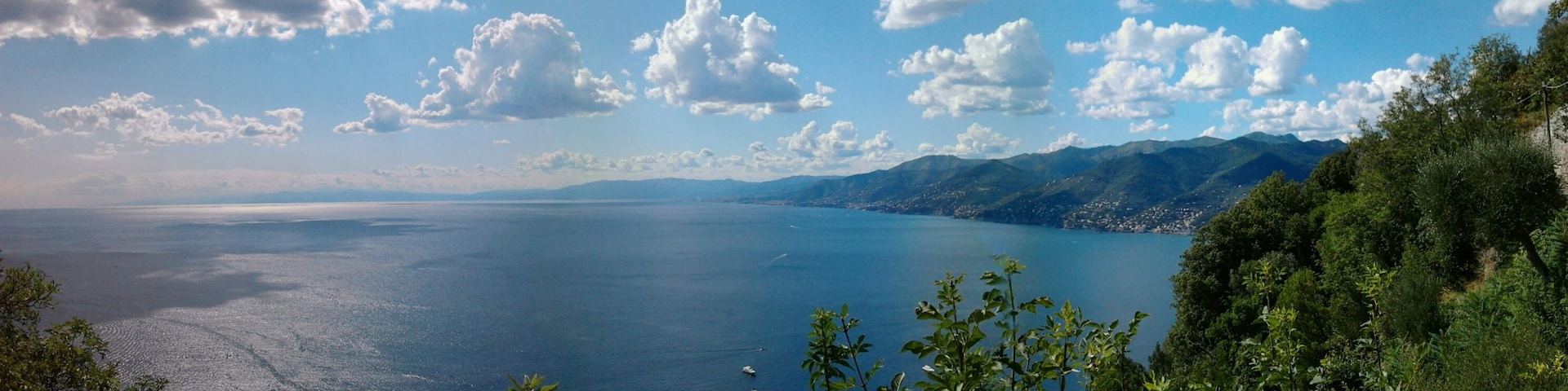 Panoramica da San Rocco di Camogli