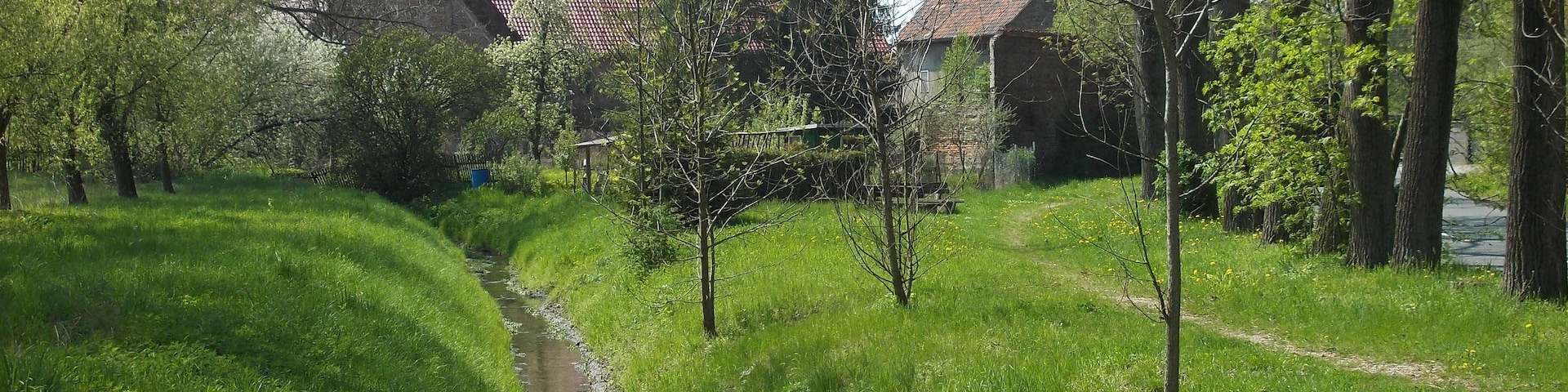 Nessa stream at Dippelsdorf (Teuchern, district: Burgenlandkreis, Saxony-Anhalt)