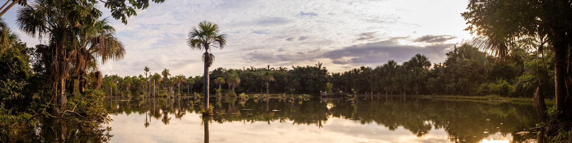 Um lago tranquilo rodeado por árvores densas e um céu claro.