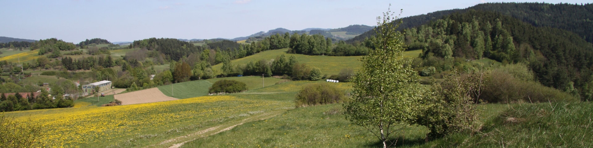 Natural monument U Narovců near Onšovice village in Prachatice District, Czech Republic