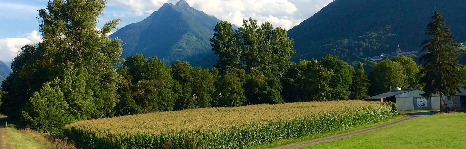 Lovely bike track up the valley from Lourdes. Sporty types can continue over numerous passes made famous by Le Tour.