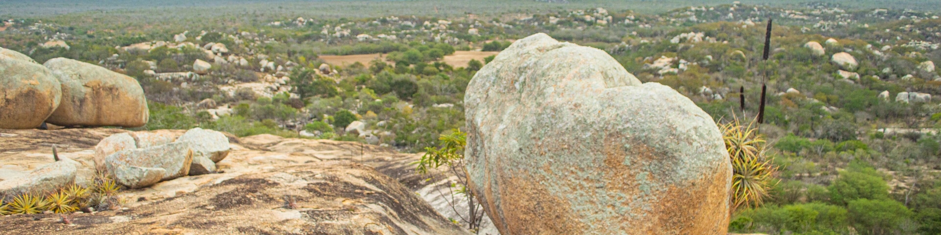 Paisagem rochosa com grandes pedras e vegetação rala.