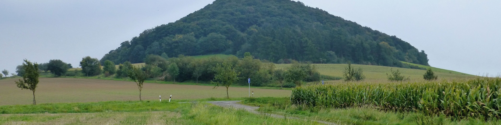 Odenberg; Westnordwestansicht von einem Feld nahe der Landesstraße 3221 zwischen Gudensberg und Besse
