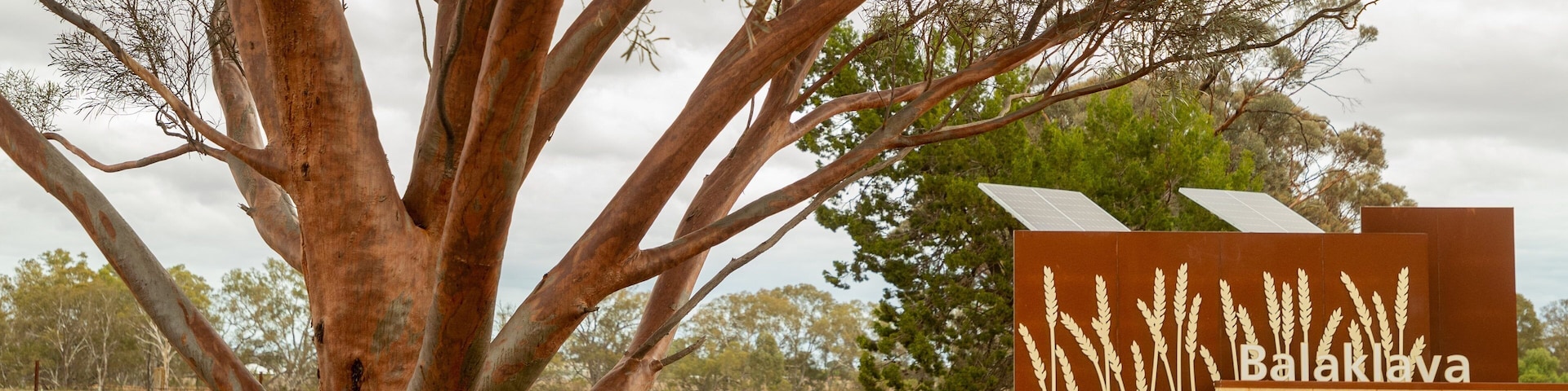 Balaklava showing tranquil scenes and signage
